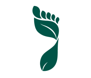 Carbon Tracker | Jill Carson